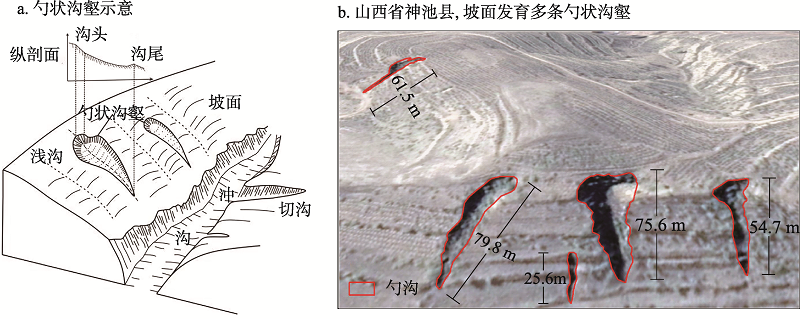 Characteristics and development process of spoon-shaped gully in the ...